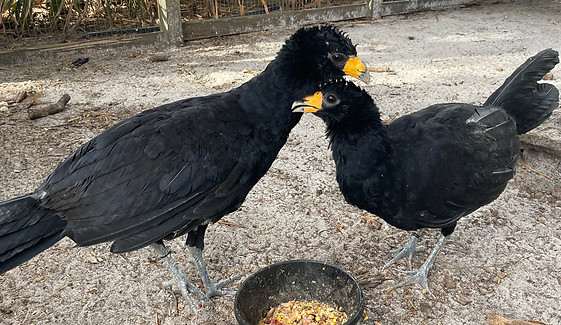 Gallery | ARIC Center