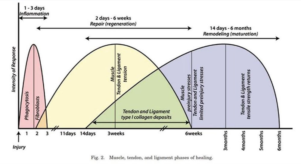 Why A Quick Fix Won't Work