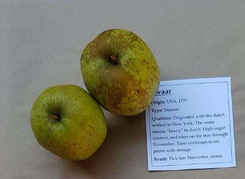 Swaar | Denman Apple