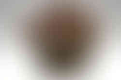 About Manheim | Historic Manheim Preservation Foundation | Manheim