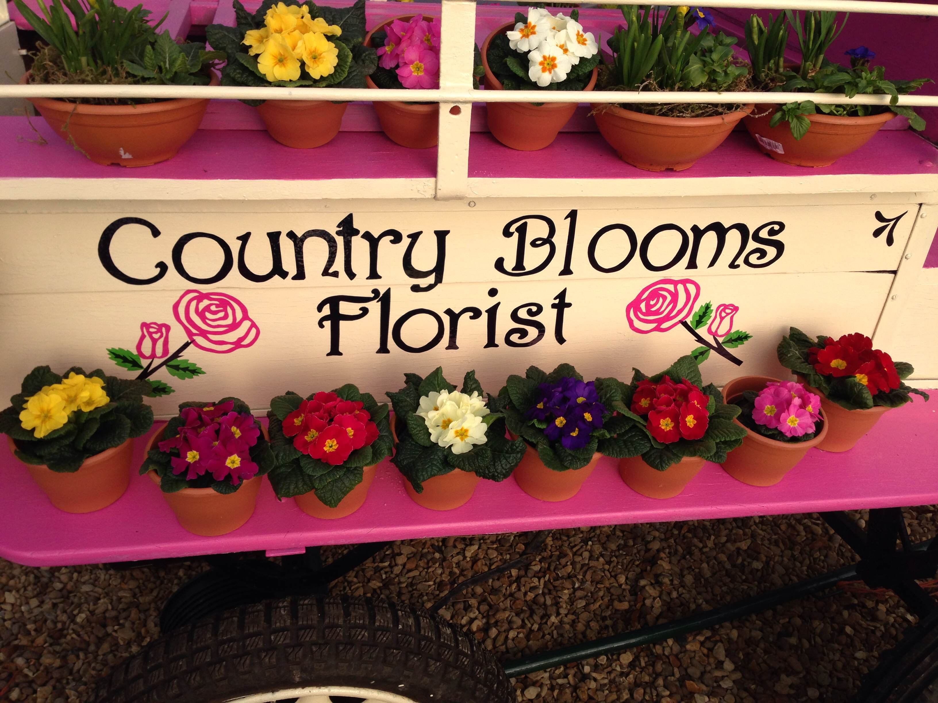 Country Blooms Florist