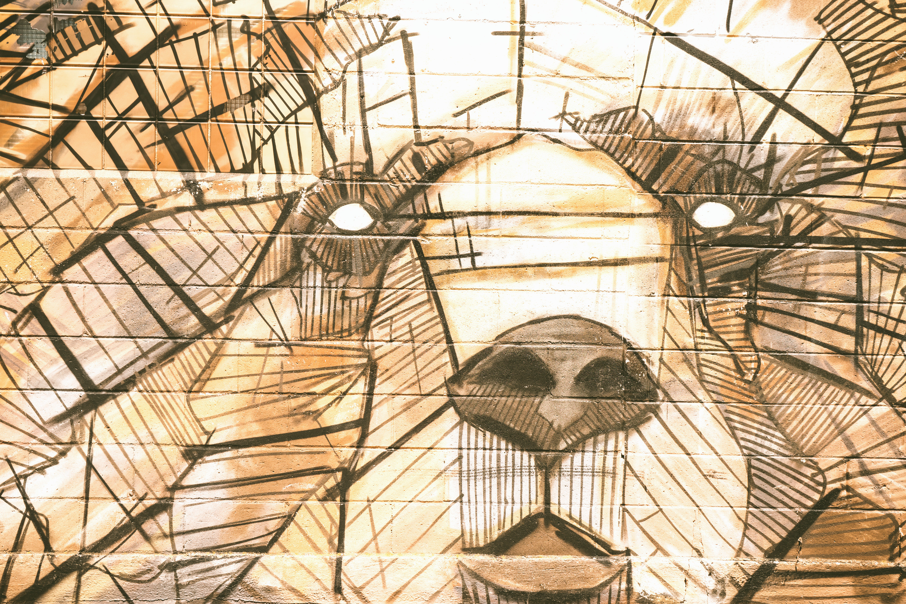 Apply for your AWBI Feeder Card