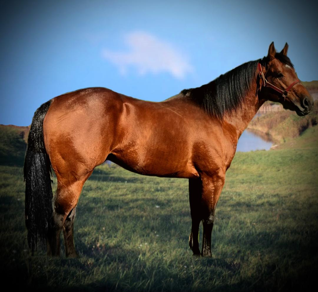 Vanila Tres Equis | Granada Farms