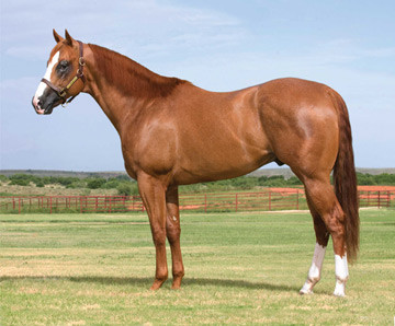 One Famous Eagle | Granada Farms