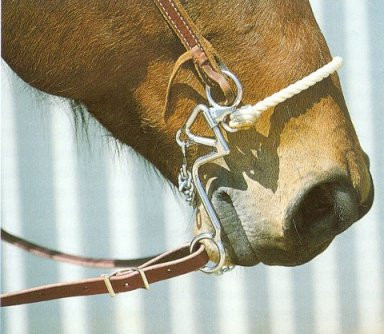 Ed & Martha Wright Swivel Shank Hackamore | Slash W Ranch