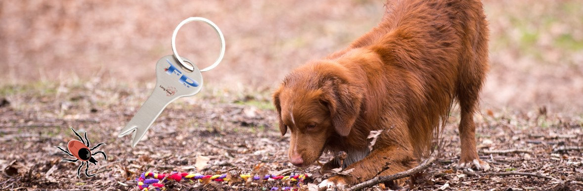 Long Paws | Dog Accessories | UK