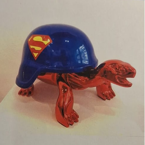 Superman Hero Turtle - Diederik van Apple | TAIT Investment