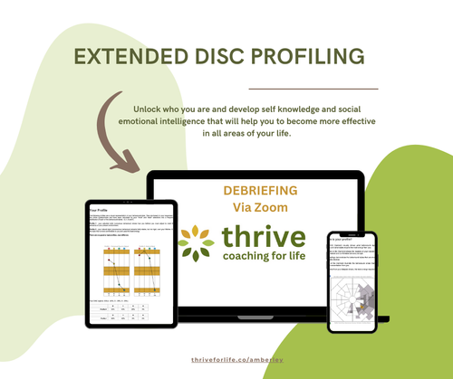 Extended DISC Report and LIVE Coaching 1-1 | Thrive For Life