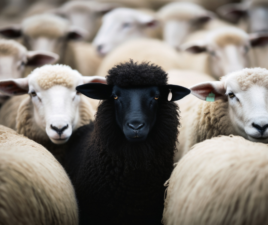 Embracing Your Uniqueness: Breaking Free from the Black Sheep Label.