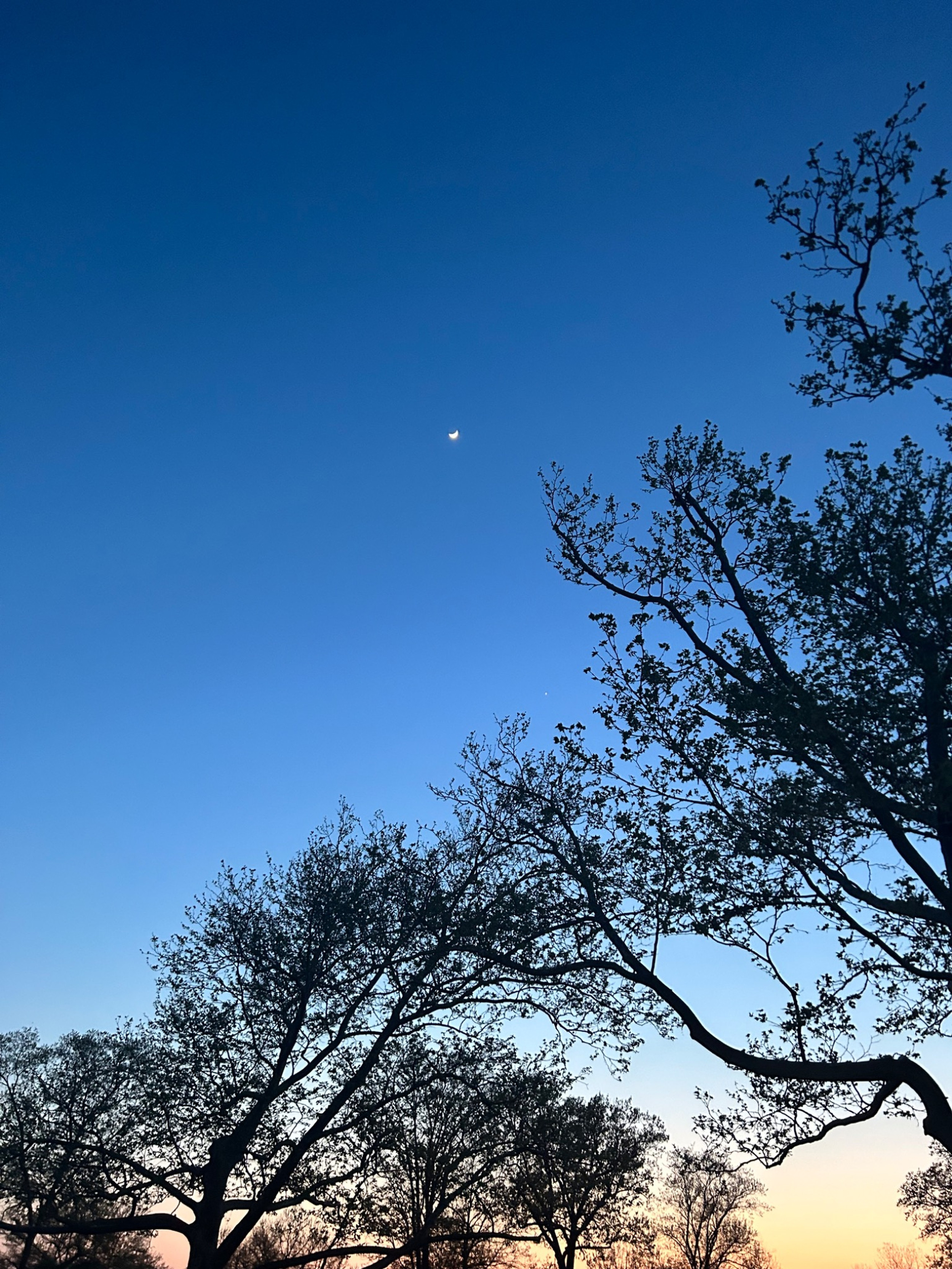 Today I Touched the Moon