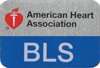 American Heart Association BLS Renewal Course | My Site