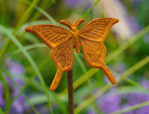 Butterfly | Fig Tree Metal