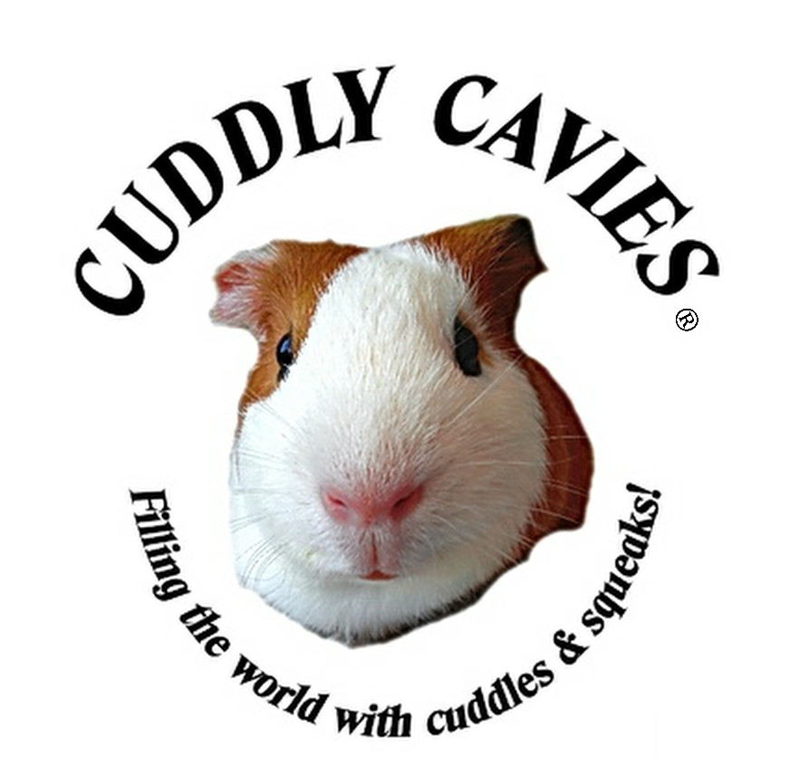 Home | Cuddly Cavies