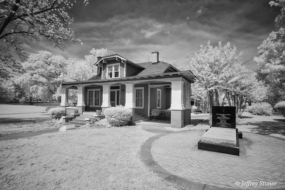 HOME | alexhaleymuseum