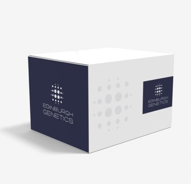 egSEQ Adapter & UDI Primer | Edinburgh Genetics