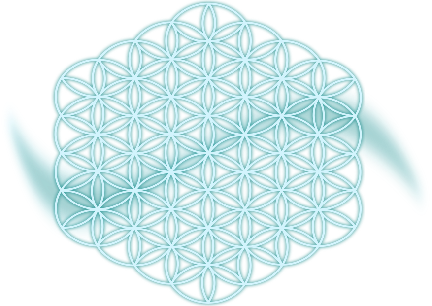 Accueil | Espace Quantum | Guadeloupe