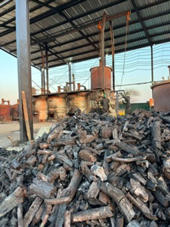 Biochar for a greener, ‘bush-free’ Namibia