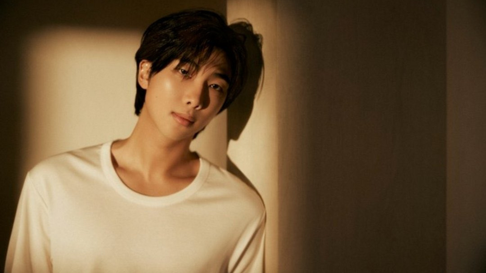 Indigo: Álbum de RM abraça sua trajetória com curadoria que registra os ...