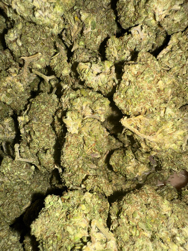 Ice Cream Cake Weed Strain Delivery in Washington DC