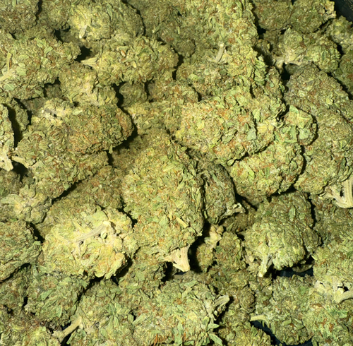 Galaxy OG Cannabis Strain and Weed Delivery DC, Maryland & Virginia