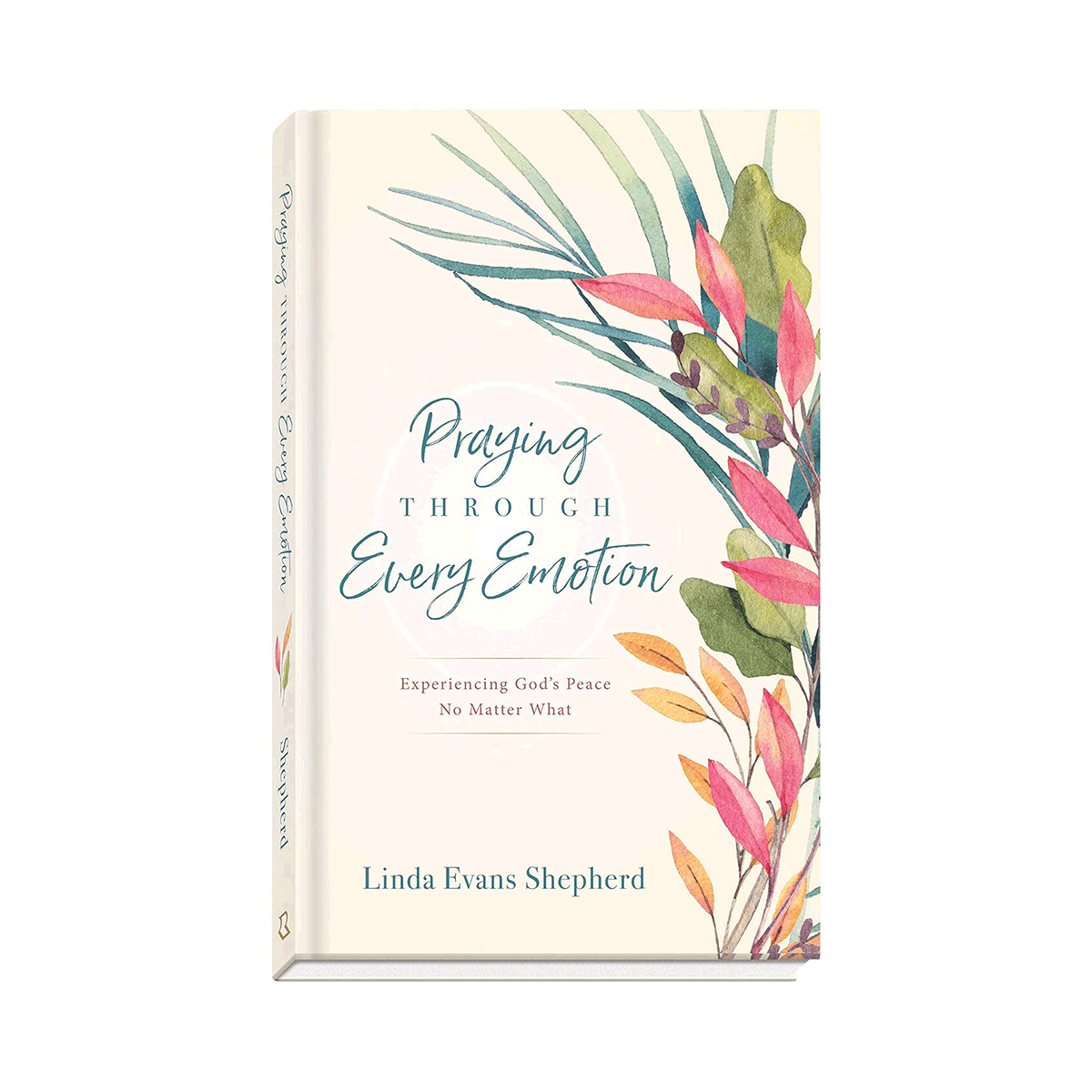 Praying Through Every Emotion: Experiencing God's Peace No Matter What ...