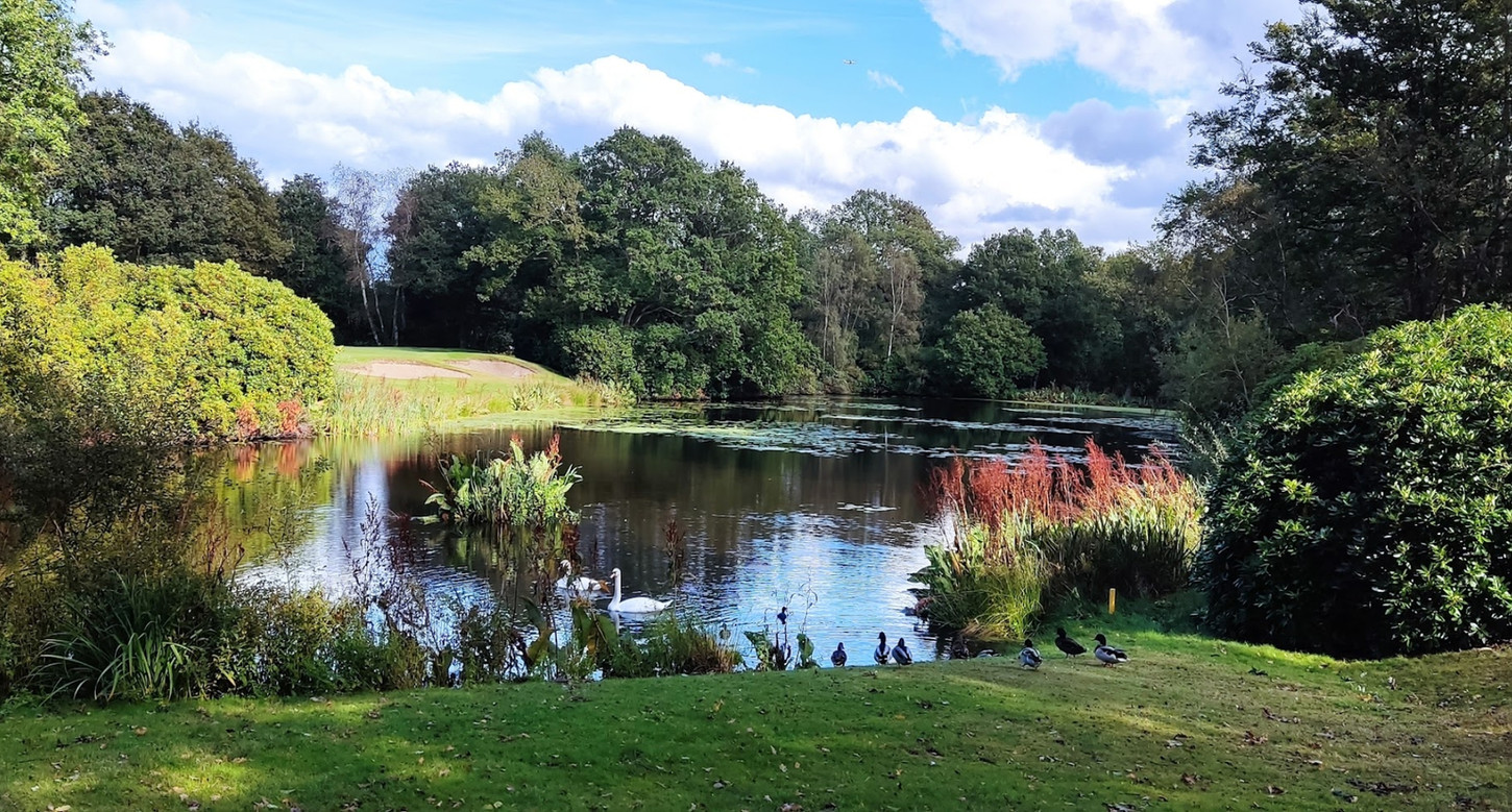 Home | Wentworth Estate | The Wentworth Estate, Wentworth Club ...