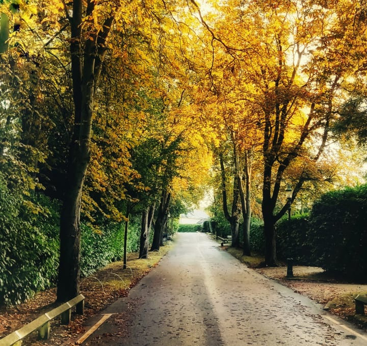 Home | Wentworth Estate | The Wentworth Estate, Wentworth Club ...