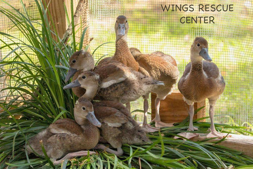 All Products | My Vxw Site J7gwat