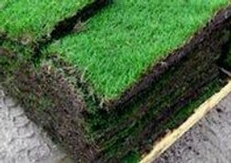 Juarez Landscaping, LLC | budget landscape design