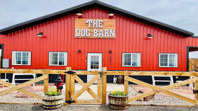 Home [www.thedogbarnboarding.com]