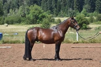 Certified Safe Facilities – Equi-Health Canada in Canada