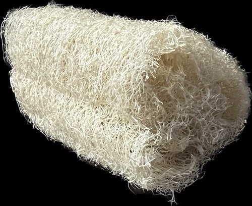 4" Heirloom Luffa Sponge | The Luffa Farm