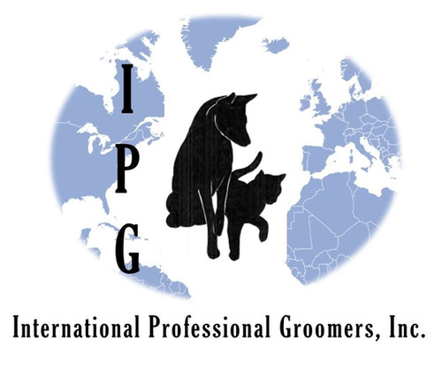 New Member | My Vxw Site U4c6i6