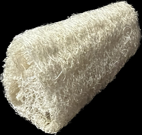 6" Heirloom Luffa Sponge | The Luffa Farm