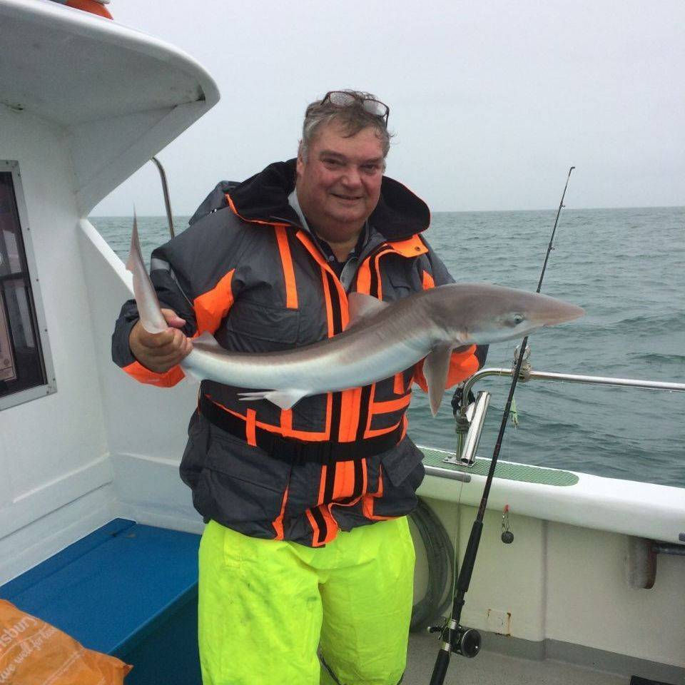 Greg Pitt Sea Fishing - Recent catches & social media
