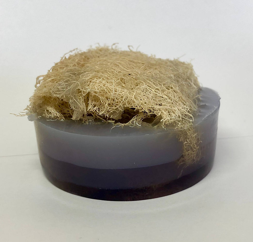 Round Luffa Soap | The Luffa Farm