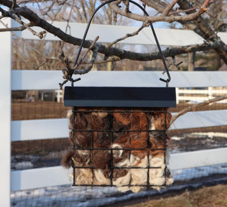 Fiber Feeder for Birds | My Vxw Site Dhssnk