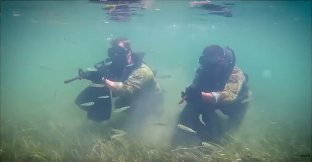 Who Are the Green Berets?