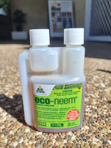 Eco-neem botanical insecticide 100ml concentrate | frangipani