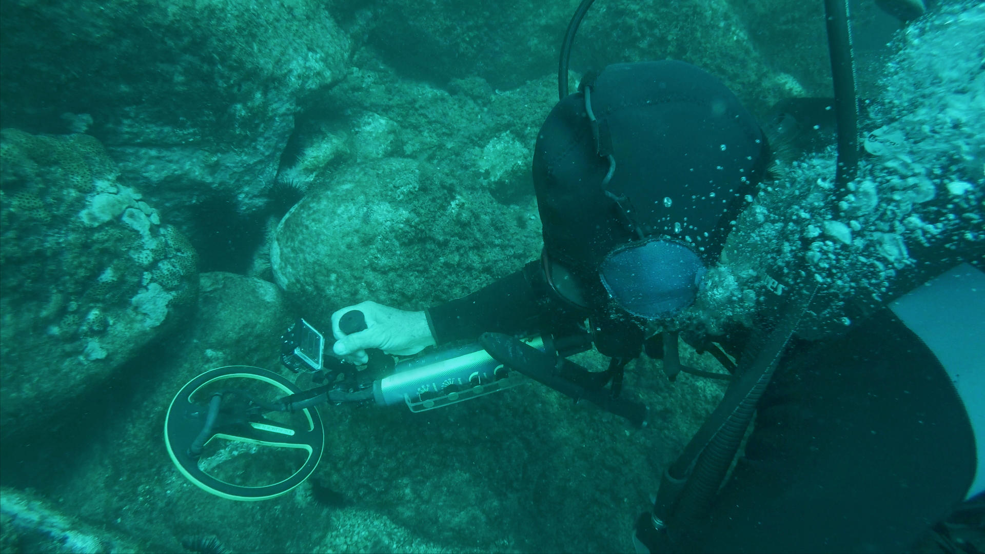 Treasure Quest Snake Island Discovery Channel Season 1