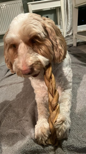 Goat Braid - Large - Anco Naturals | Tilehurst Dog Food