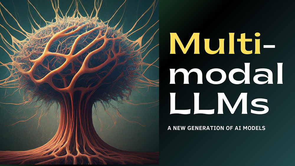 What Are Multimodal Large Language Models?