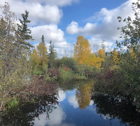 Resort Village of Chitek Lake