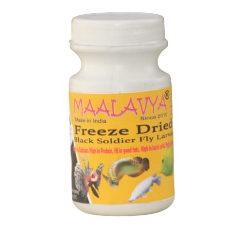 Maalavya Freeze Dried BSF (Black Soldier Fly Larvae) Fish Feed/Food ...