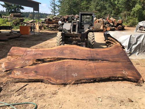 Curly Black Walnut 080822-9 | Maverick Sawmill