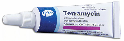 Pfizer Terramycin Eye Ointment for Cats& Dogs (1 tube) | Pawkit