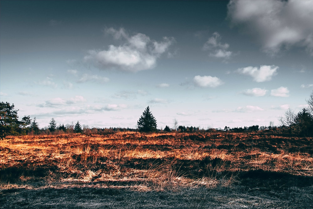 Burning from the Inside: A Return to Life After Burnout | Certain Age ...