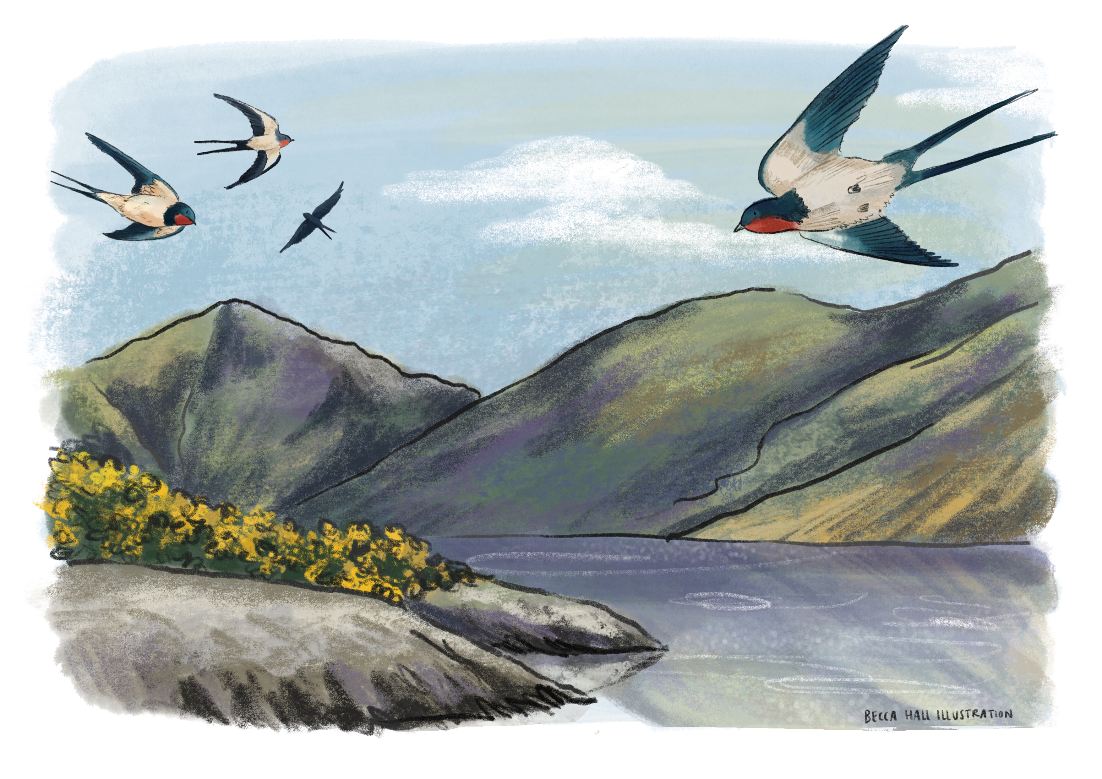 Freelance Illustrator | Cumbria | Becca Hall Illustration