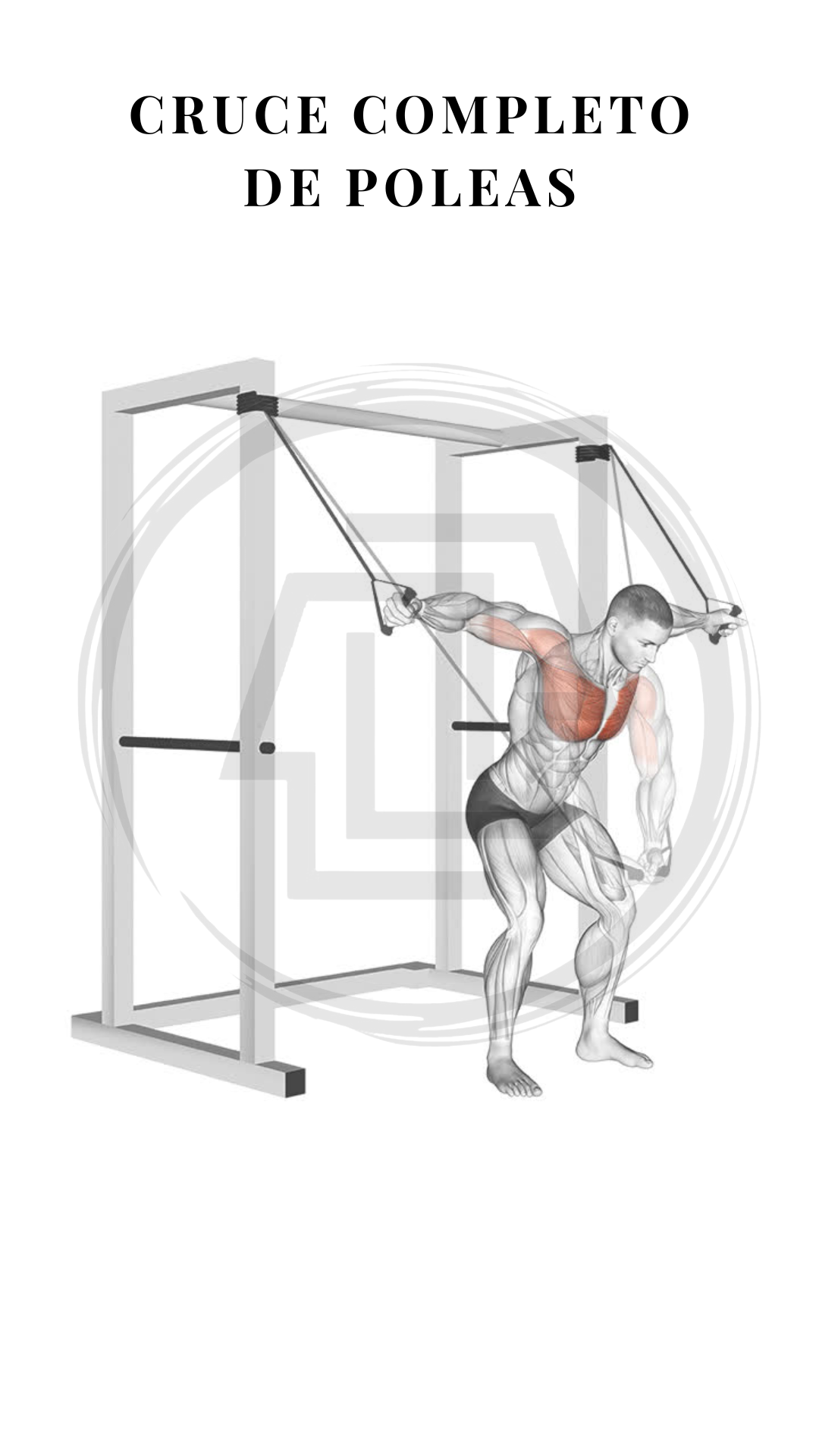 Cruce completo de Poleas