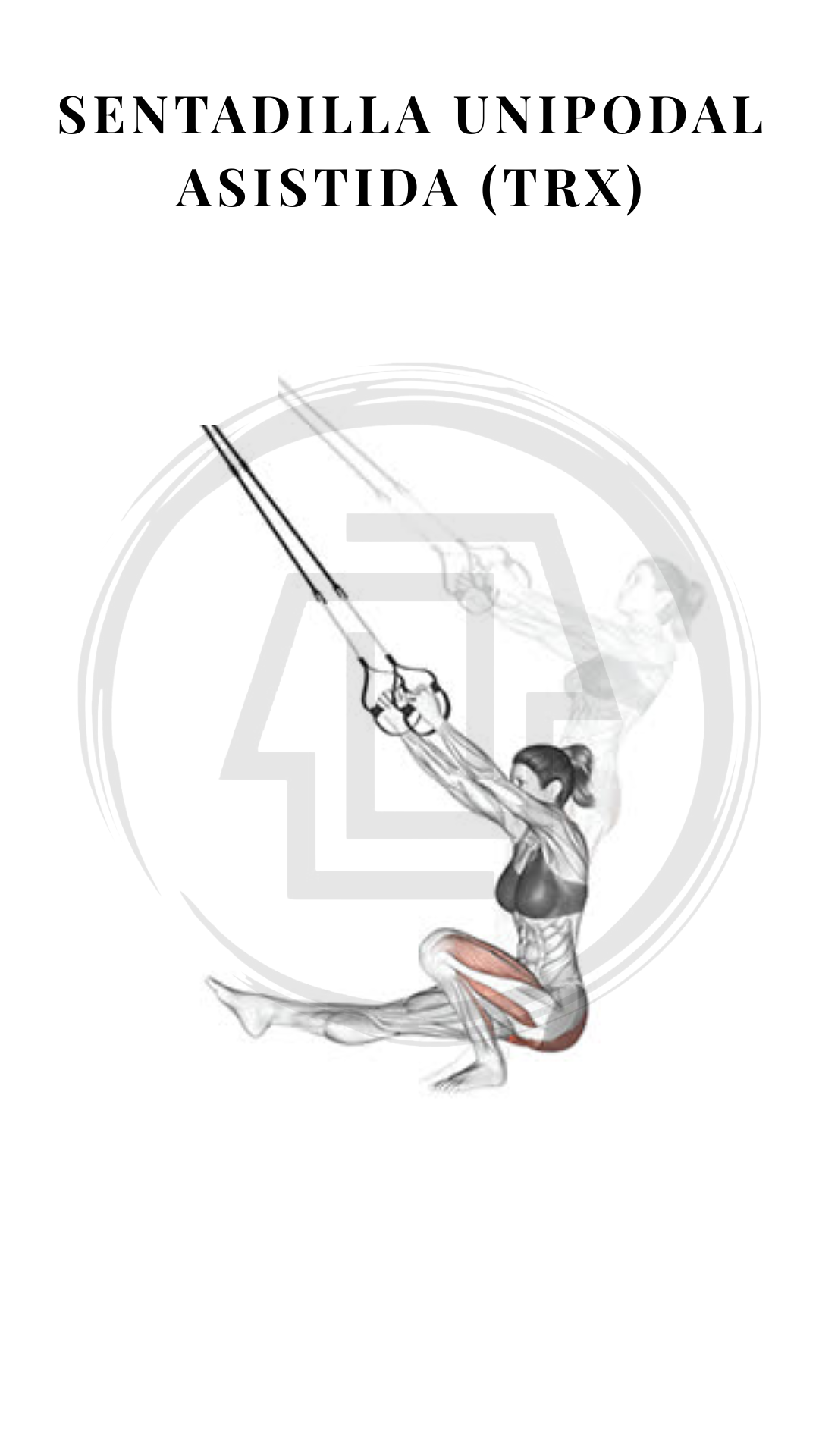 Sentadilla Unipodal Asistida (TRX)